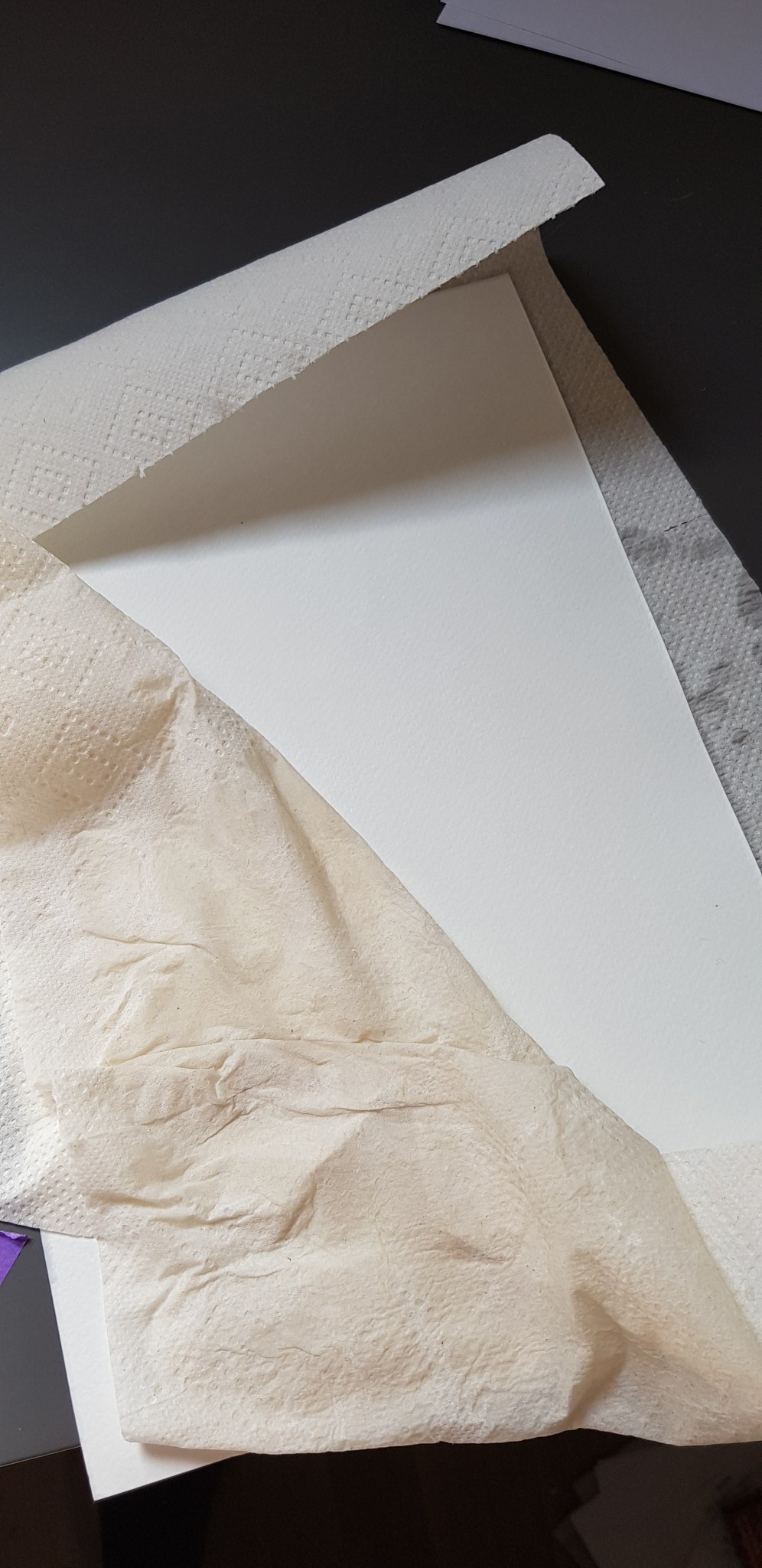 Printing with milk Cartons
